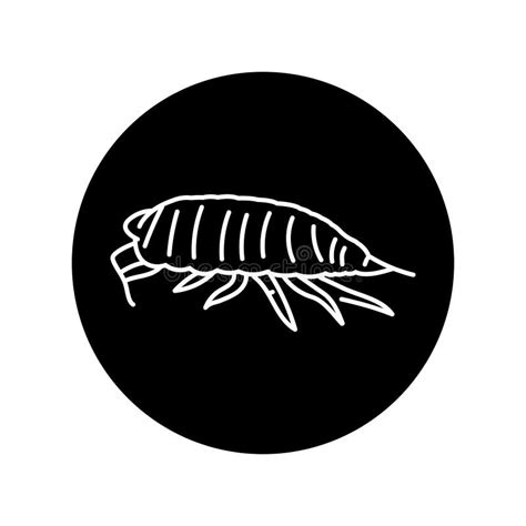 Louse Outline Stock Illustrations 142 Louse Outline Stock Illustrations Vectors And Clipart