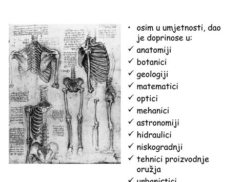 Paukovic Leonardo Da Vinci Pps