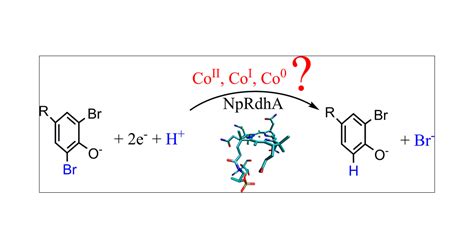 Which Oxidation State Initiates Dehalogenation In The B12 Dependent