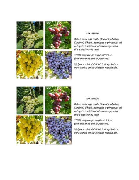 Raki Rrushi Docx