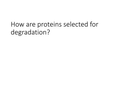 Ppt Intracellular Protein Degradation Powerpoint Presentation Free