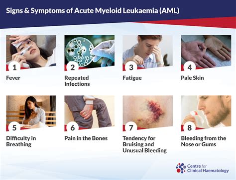 Understanding Acute Myeloid Leukemia Causes Symptoms And Treatment