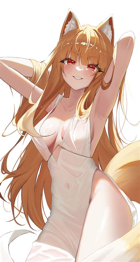 Holo Spice And Wolf Drawn By Ggonor Danbooru