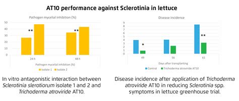 Trichoderma Atroviride At10 Biocontrol Versatilidad Y Bioestimulación Atens
