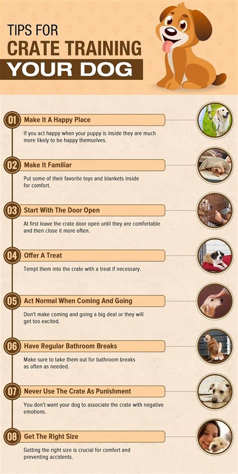 Tips For Crate Training Your Dog Artofit