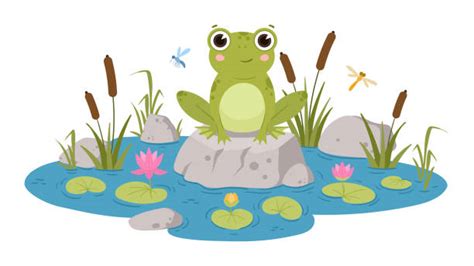 Cartoon Frog In Pond Pictures
