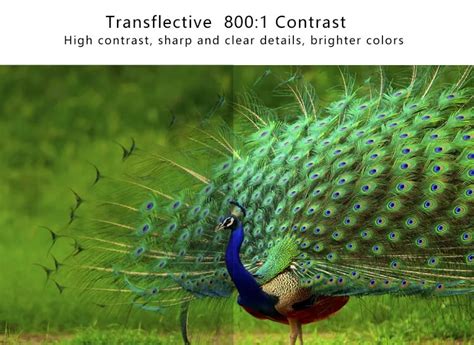 4 5 Inch 480x854 Lcd 3spi 16 18 24bit Rgb Interface Full Viewing Angle Ips Lcd For Medical