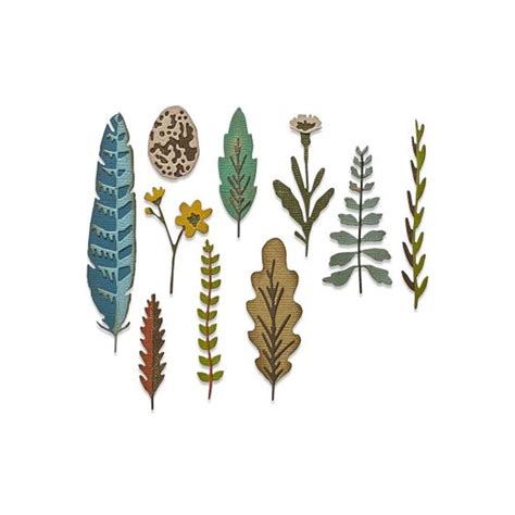 Thinlits Die Set 10pk Funky Nature By Tim Holtz Hobbymaker