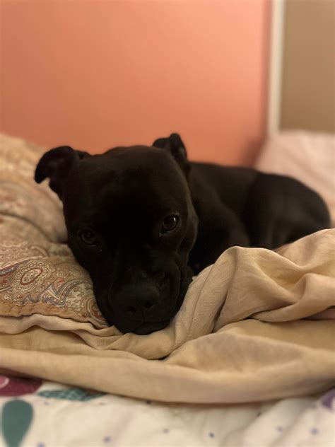 Reading Comp Hero Experiences R Lsat