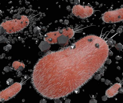 T7 Bacteria Stock Illustrations 5 T7 Bacteria Stock Illustrations Vectors And Clipart Dreamstime