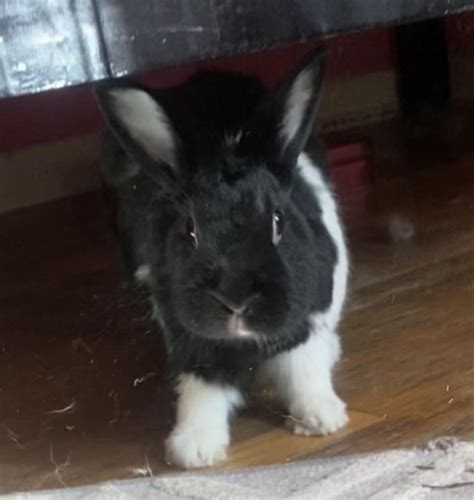 You Shall Not Pass Rmurderbuns