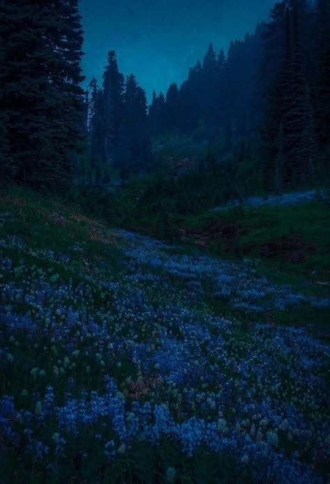 Pin Af Sofía Quintero På Pins Creados Por Ti Rejser Billeder