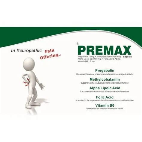 Premax Packaging Size 10x10 Capsules At ₹ 14999strip In Hapur Id
