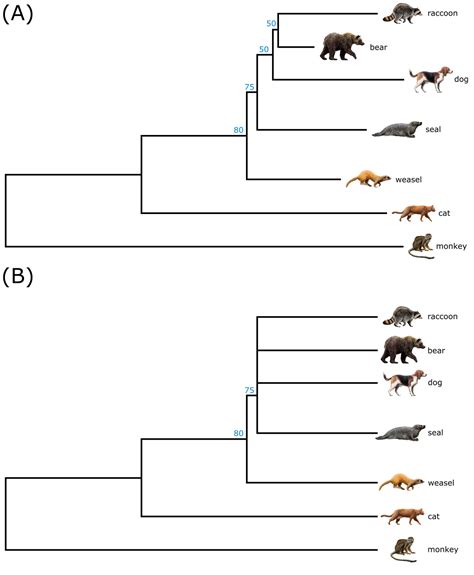 3 Phylogenetics And Tree Reconstruction Introduction To Bioinformatics