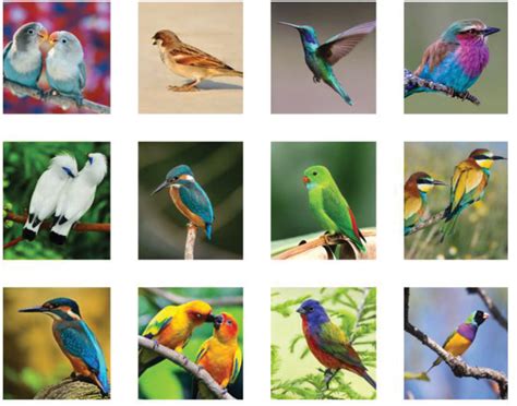 Figure 3 From Security Of Image Using Watermarking Techniques And Visual Cryptography Semantic