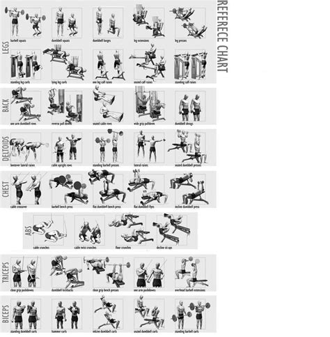 Weight Lifting Reference Chart Olympic Weightlifting Bodybuilding