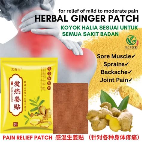 Ready Stock 500pcs Ginger Patches Hot Compress Paster Body Pain Relief
