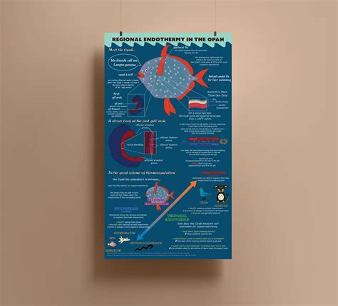 Gallery 3 — Squid Ink Illustration