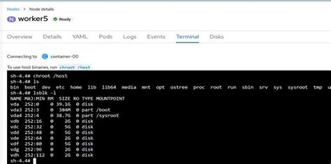 Adding Persistent Local Storage To Zcx For Openshift Cluster Using
