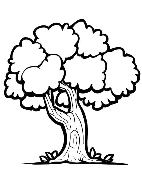 Planse De Colorat Cu Copaci Desene De Colorat