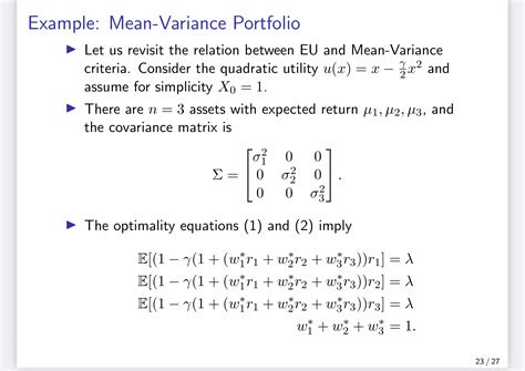 Example Mean Variance Portfolio Contd Therefore