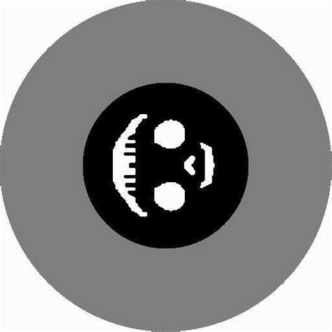 Slice Of A Typical Binary Radially Symmetric Object By A Plane That Download Scientific Diagram