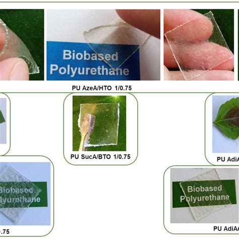 Photographs Of Partially Crosslinked Polyurethane Films Download