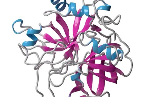 Trypsin Images Free Download On Freepik