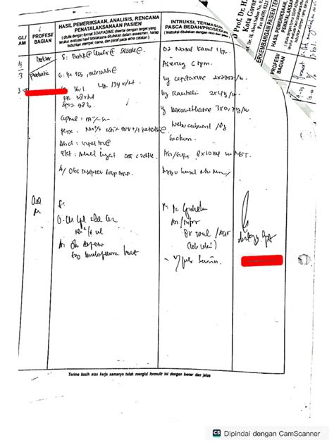 Lembar Cppt Yang Menunjukan Koordinasi Dan Integrasi Antar Ppa Pdf