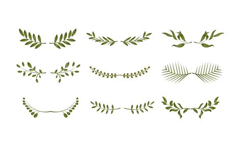 Colección De Ramas Decorativas De Vector Vector Premium