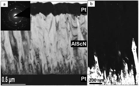 A Bright Field And Selected Area Diffraction Saed Pattern Of The Download Scientific Diagram