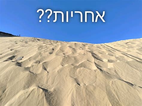 liat tal on linkedin responsibility headhunting agreement 23 comments