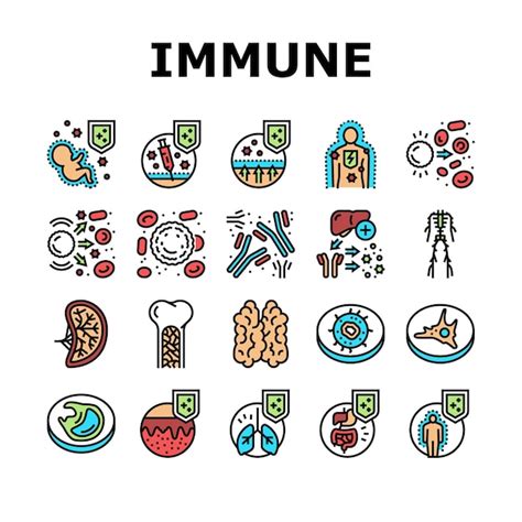 Premium Vector Immune System Disease And Treat Icons Set Vector