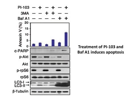 Online Inhibitor Papers About Inhibitor