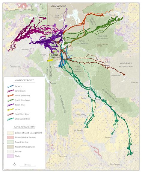 Mule Deer Migration Study Grand Teton National Park Us National
