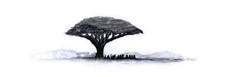 Tuko Pamoja The Lion And The Leopard