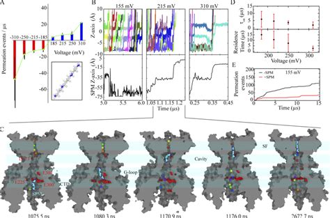 Spm Binding And Pore Block A Ion Permeation Events Per Unit Time