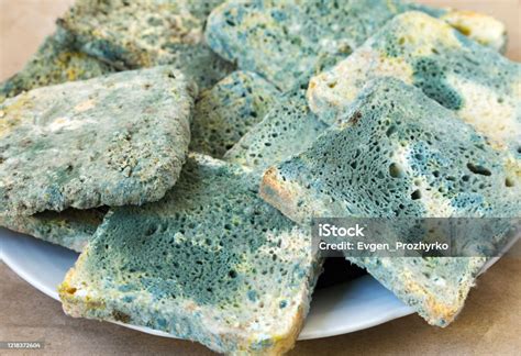 Penicillium Bread Mold Moldy Food Colorful Mildew Growing On Surface