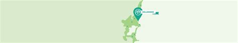 ndis plan management in wollongong nsw plan partners
