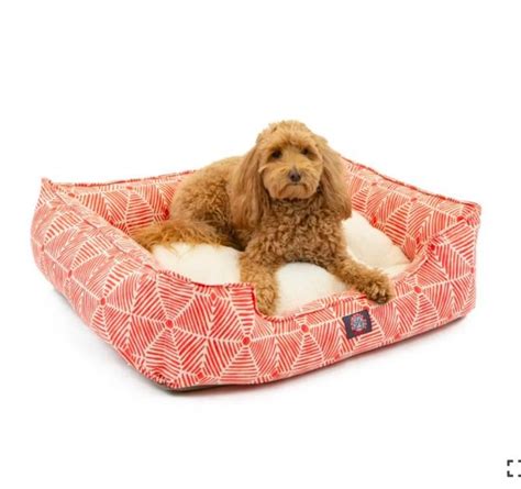 Cockapoo Size Guide Teacup Toy Miniature Standard Maxi Artofit