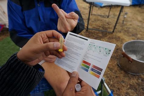 There Will Be Lots Of Pill Testing At Sydneys Summer Festivals