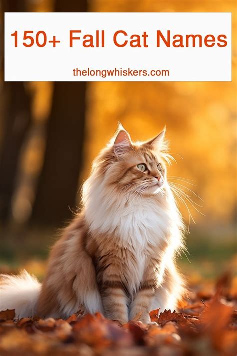 150 Fall Cat Names Artofit