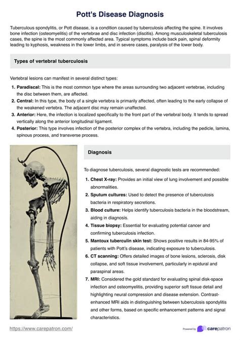 Myotomes Chart And Example Free Pdf Download