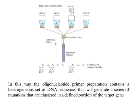 Site Directed Mutagenesis Sdmpptx Chemistry Science
