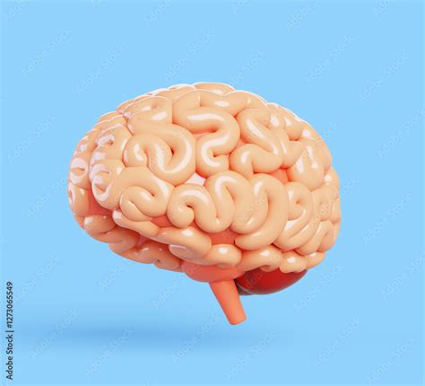 Human Brain 3d Render Icon Realistic Anatomy Organ Of Central Nervous