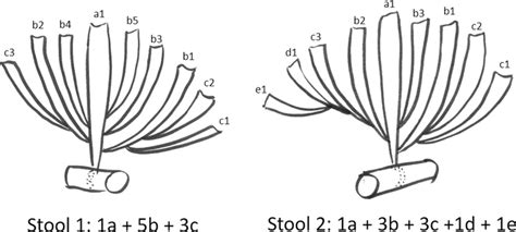 An Example Of Different Stool Classification Equations Whereby Both Download Scientific Diagram