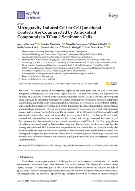 Pdf Microgravity Induced Cell To Cell Junctional Contacts Are Counteracted By Antioxidant