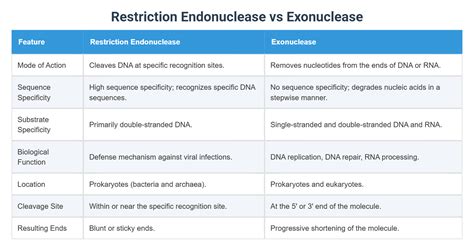 Restriction Endonuclease Vs Exonuclease