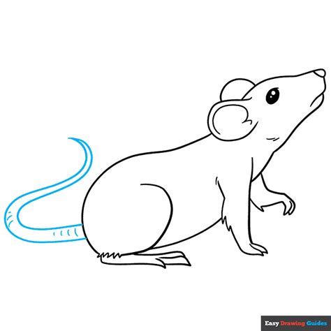 How To Draw A Standing Rat