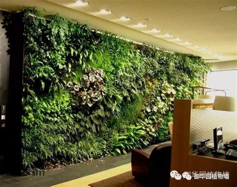 從室內污染到室內植物淨化空氣的大作用告訴你為什麼要選擇植物牆！ 每日頭條